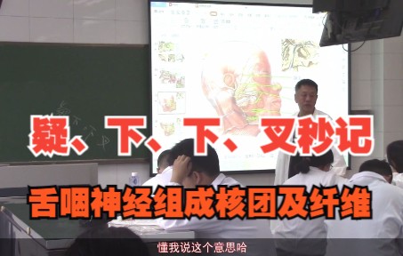 疑、下、下、叉秒记舌咽神经的组成核团及纤维成分 解剖学