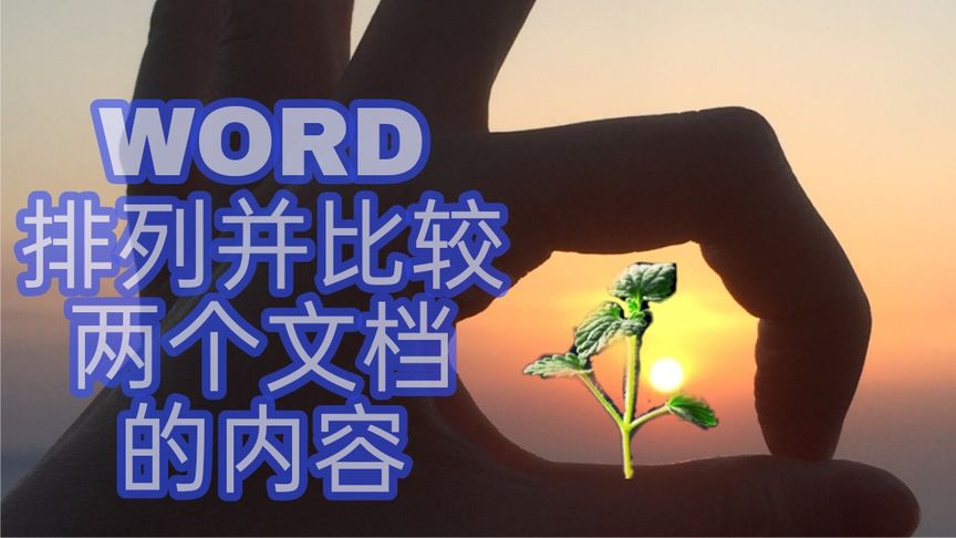 排列并比较两个文档的内容@中视频伙伴计划官号