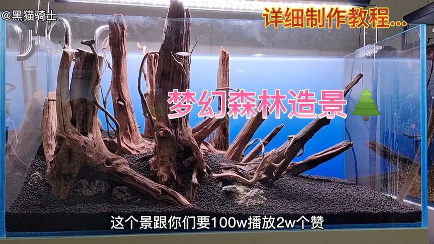 你们都喜欢的森林造景来啦“梦幻森林”很详细的制作教程,收藏版