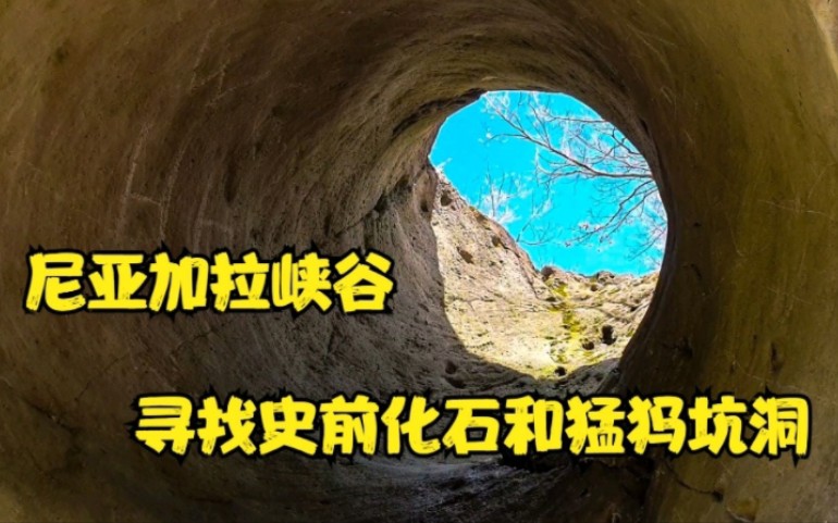 加拿大尼亚加拉峡谷: 激流,森林,奇石,史前遗迹