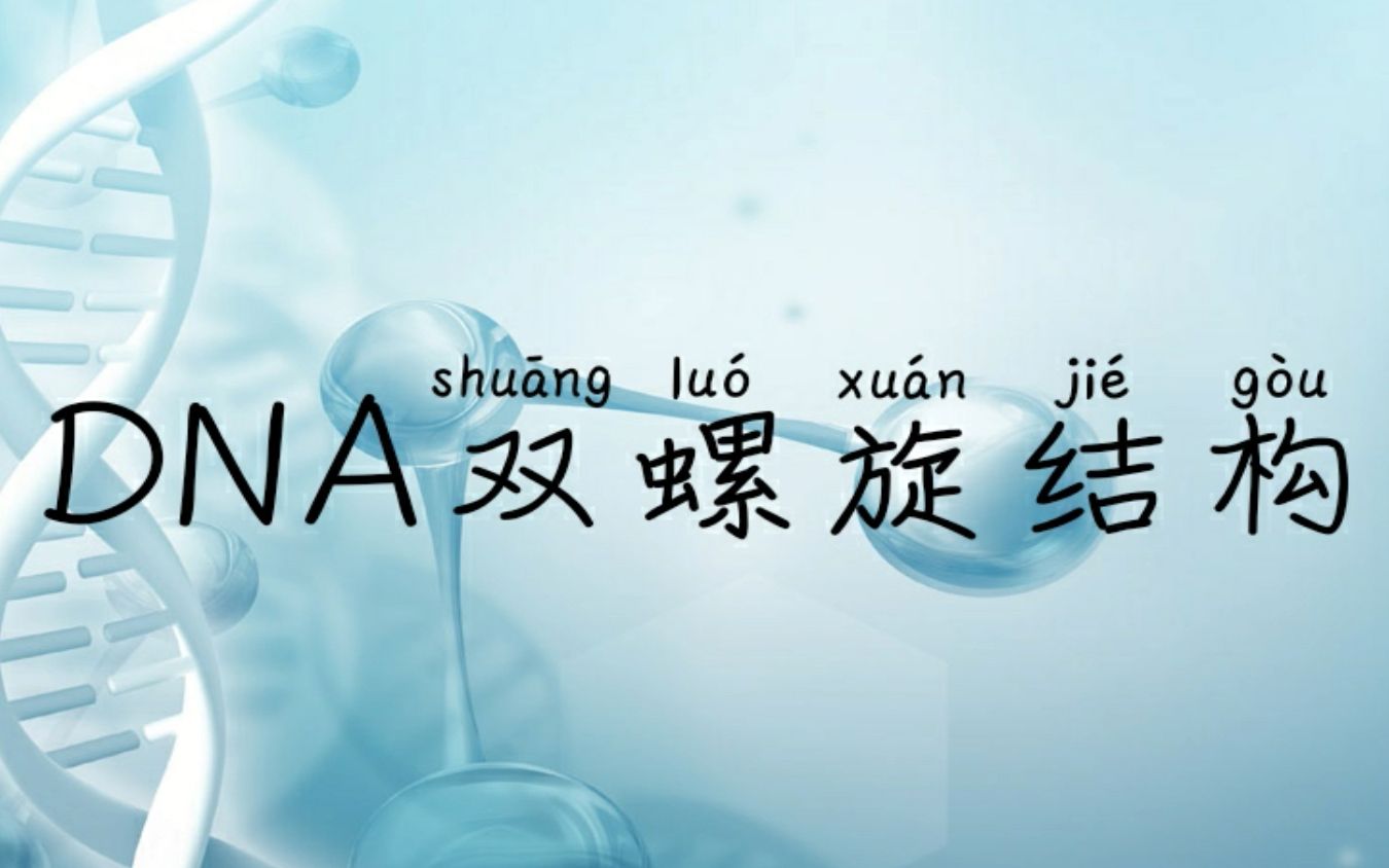 奥利奥 DNA双螺旋结构