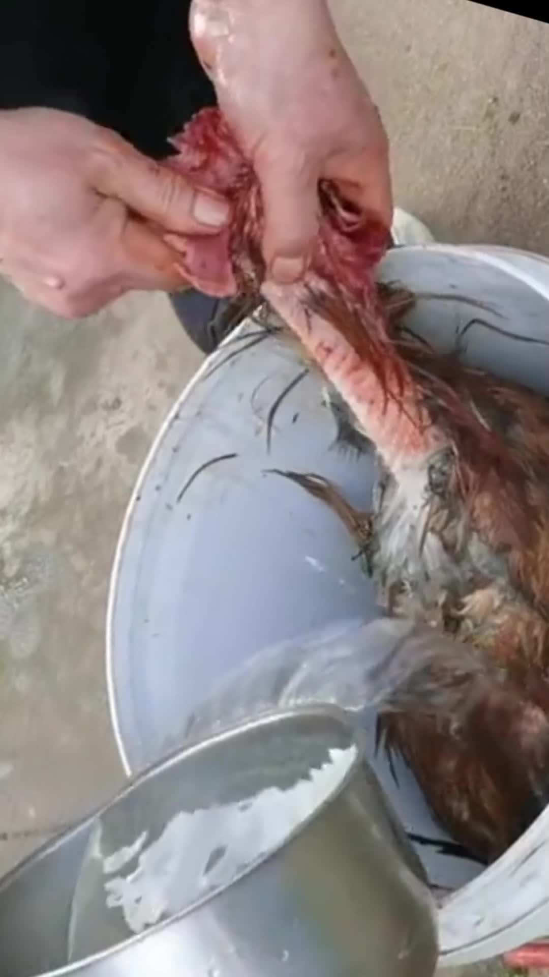 #拜年就要年味穿搭#电影镖人排片上涨#镖人票房破3亿#最满的后备箱...