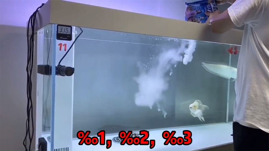 鱼缸下盐的计算公式:总水量×千分比=下盐量,一学就会