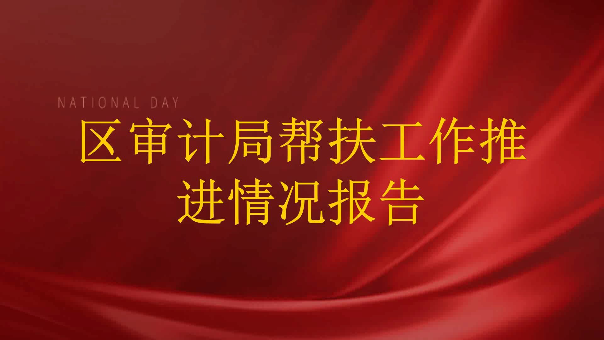 区审计局帮扶工作推进情况报告