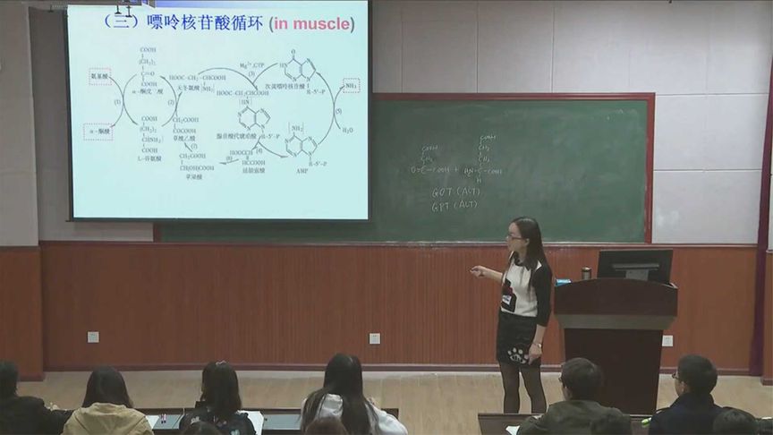 医用生物化学:9.9 嘌呤核苷酸循环
