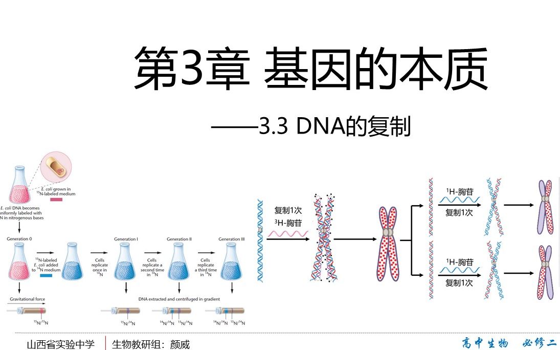 3.3DNA的复制——半保留复制的实验证据(拓展详科学史实验,标记问题...