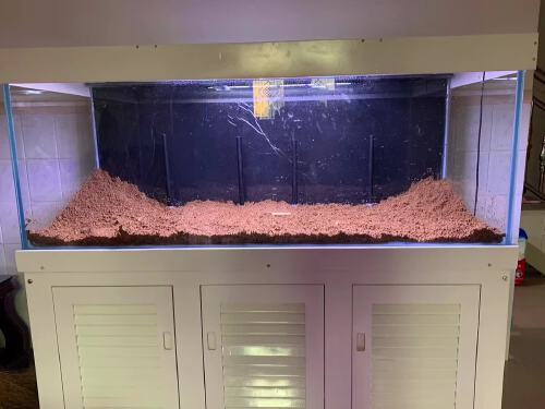 150×60×60原生缸造景过程喜欢鱼缸中只有景跟鱼自己设计过滤系统...