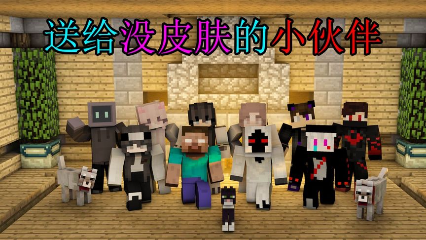 我的世界：皮肤分享，内有实体303和HIM！