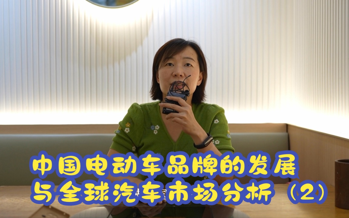 中国电动车品牌的发展与全球汽车市场分析(2)