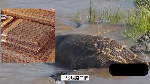 大蟒蛇吞咽整只瞪羚全过程,真怕它把肚皮撑破