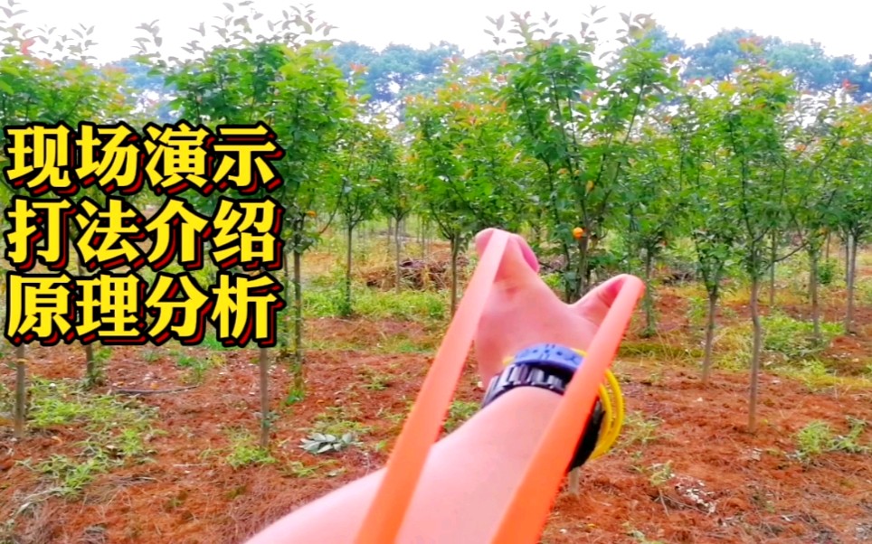 尘封多年的无架弹弓教学秘籍,来自2015年,快来看退役狙击手的科学教程