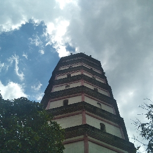 灵魂必须发达 