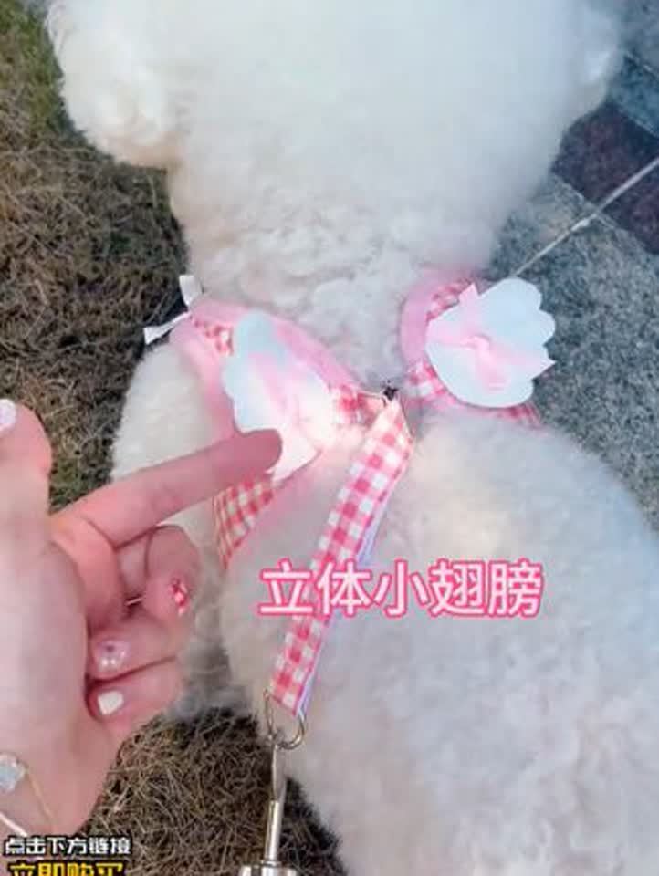 好看又便宜的牵引绳,快给毛孩子安排上吧,猫狗都能用哦#宠物牵引绳 #...