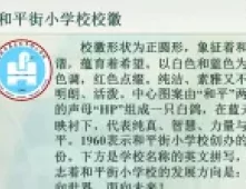 微课《设计我们的班徽-行动指导》