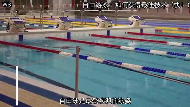 自由游泳:如何获得最佳技术(快!)--北京白石翻译