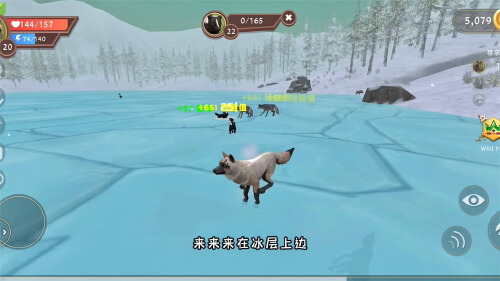 狼模拟器等级到达20级,又可以增加一只狼宝宝了