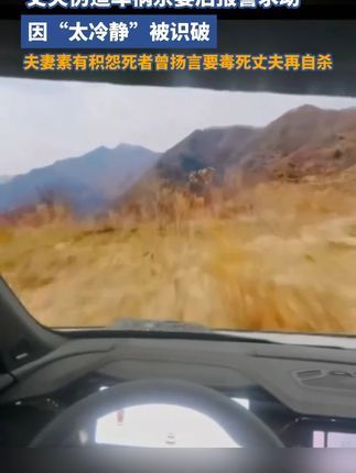 ...4 日,龙某报警称车辆故障致妻子在交通事故中死亡。公安机关以交通...