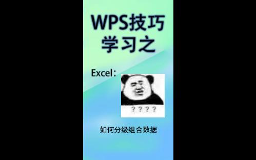 WPS-分级组合数据