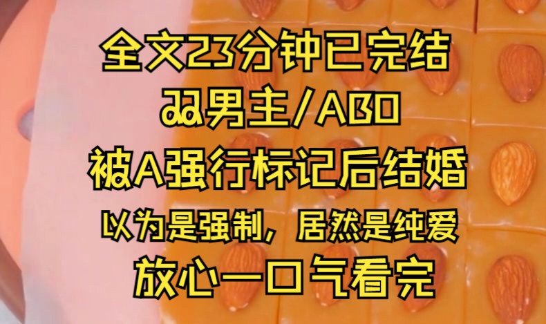 (双男主)我被永久标记了。以为他不爱我,没想到是纯爱Alpha。