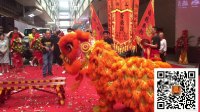 开业庆典演出活动-醒狮