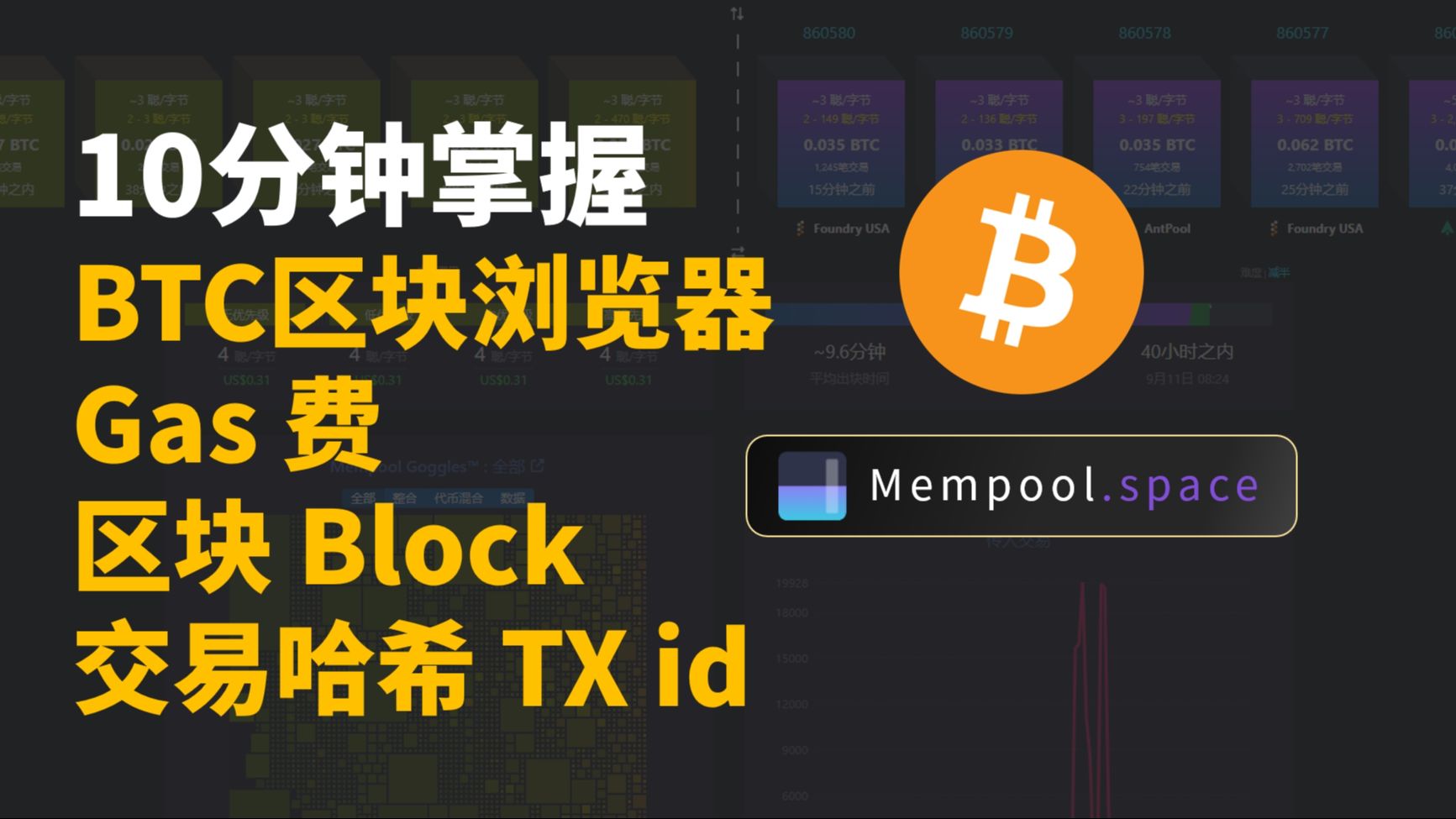 比特币Bitcoin 区块浏览器mempool.space 快速入门教程 | 了解什么是...