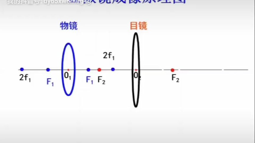 初中物理---显微镜和望远镜的成像原理