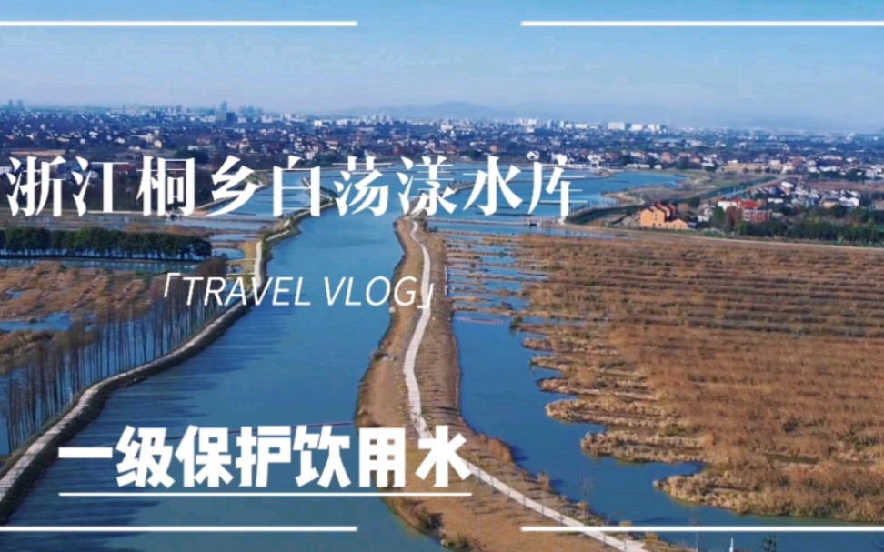 浙江桐乡市的湿地白荡漾位于桐乡市洲泉镇与大麻镇之间,总面积630余...