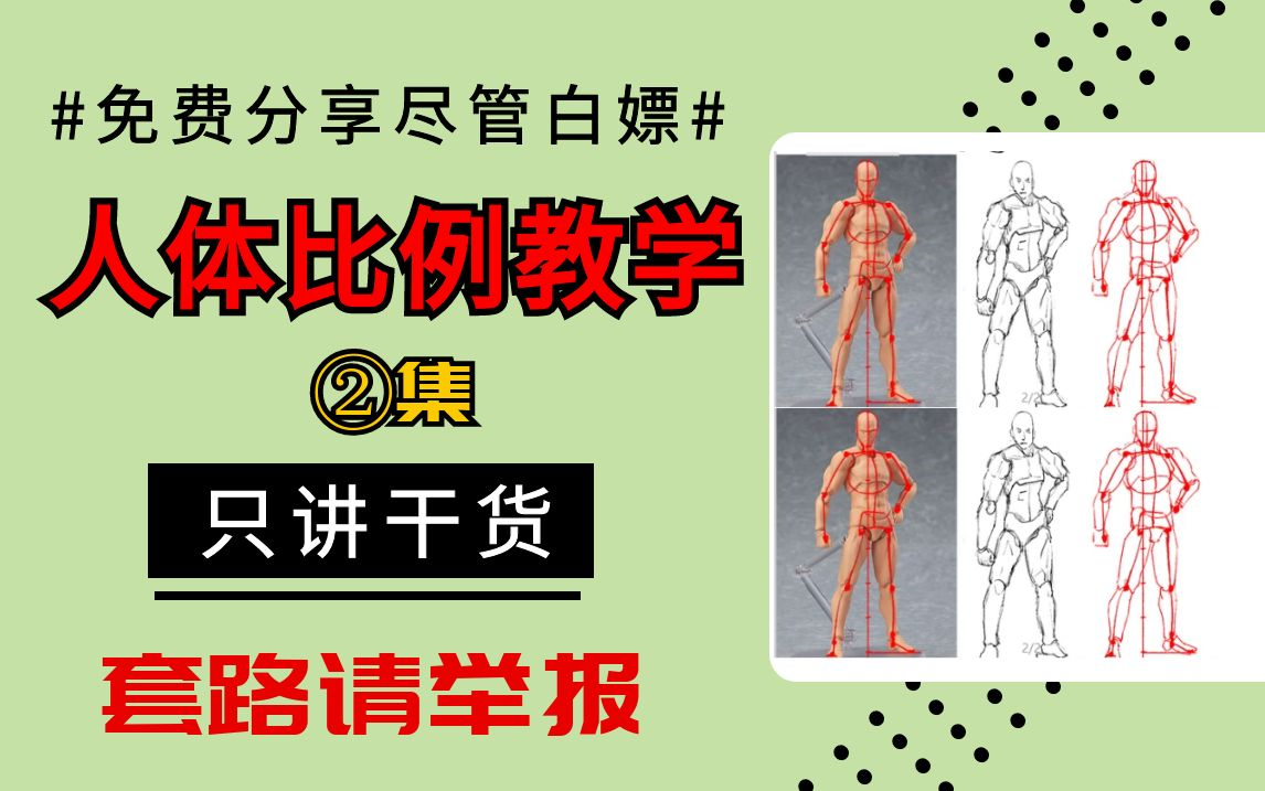 【人体教程】(人体比例-正面侧面)绘画教学
