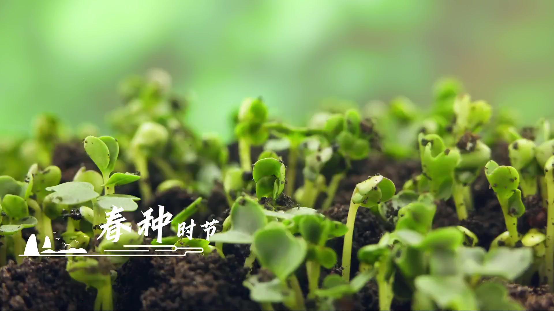 中国建设银行2023年社会责任宣传片发布!四季轮回,时光流转,建设银行...