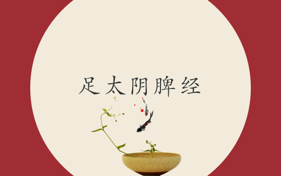 【经络腧穴】足太阴脾经