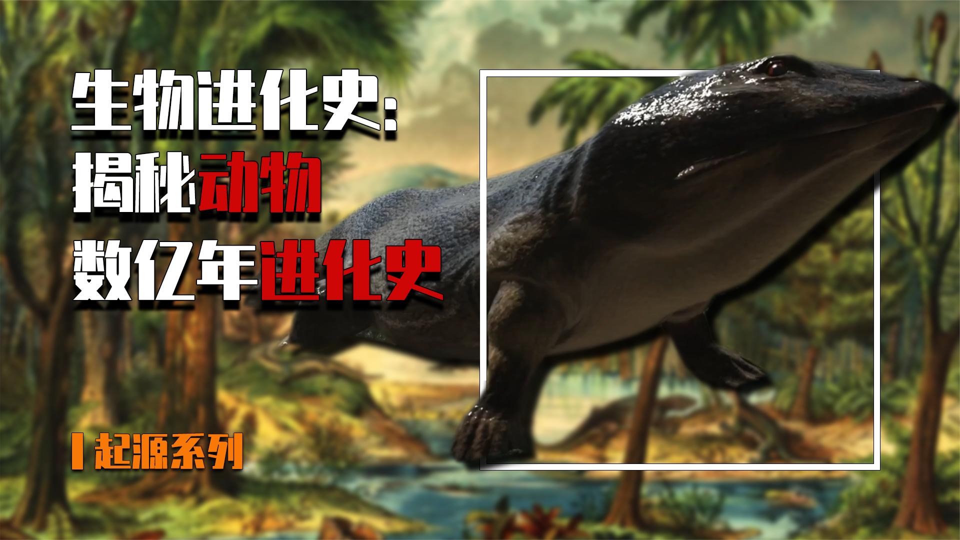 生物进化史:人类从何进化而来?揭秘生物数亿年的进化史