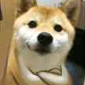 冰镇小龙虾_ 