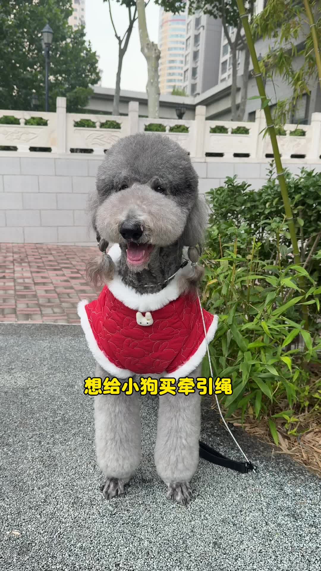 钢丝绳结实耐用防缠绕、防水、夜晚反光、可调节P绳 #中大型犬牵引...