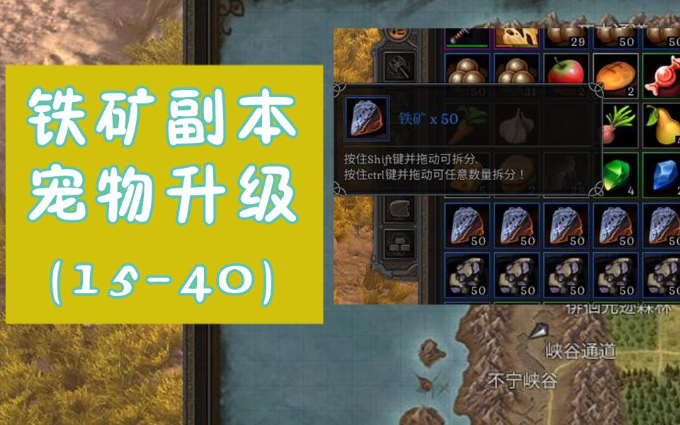 ...铁矿副本 宠物升级(15-35)/ Wild Terra 2: New Lands_单机游戏热门视频