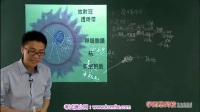 减数分裂与受精作用知识点 高中生物 13课时学完生物必修2 高阳【全...