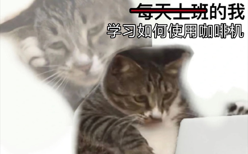 用摩飞咖啡机做咖啡啊啊啊挺香的