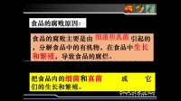 5八上(细菌真菌与病毒)