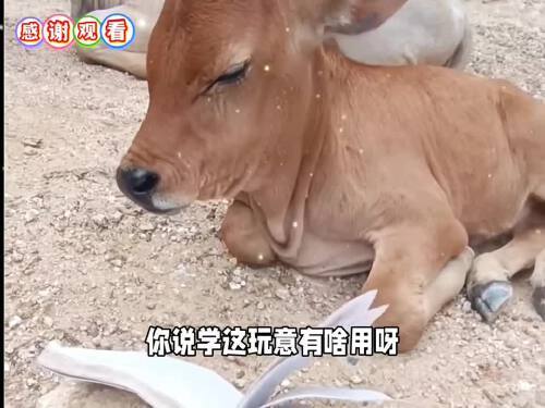 学习没用?真相让你惊掉下巴!