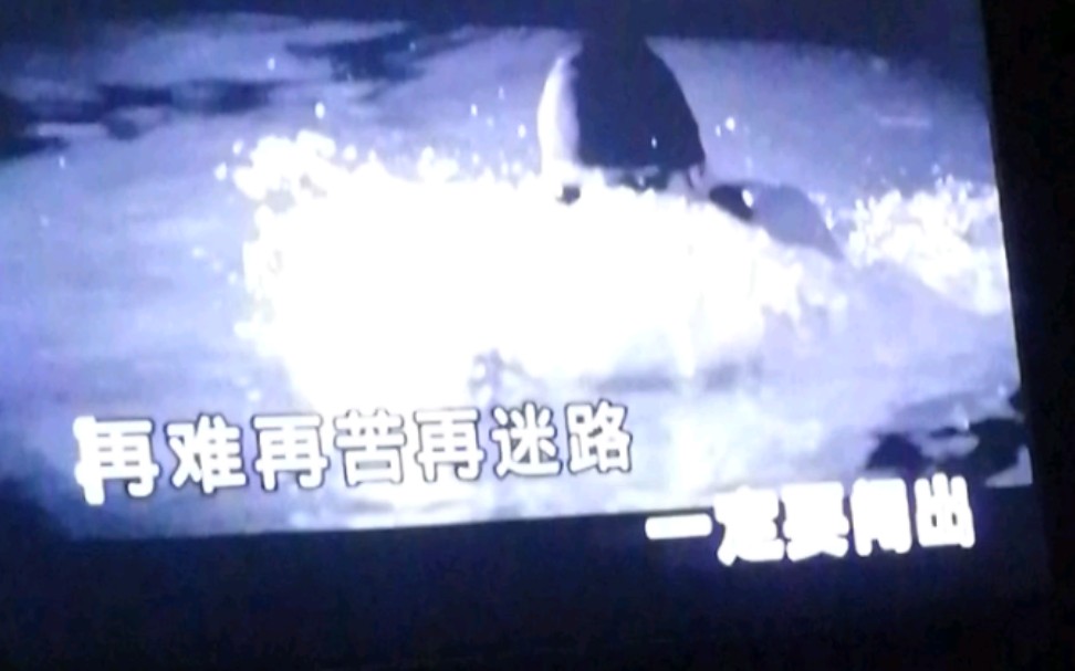 《拒绝黄赌毒》