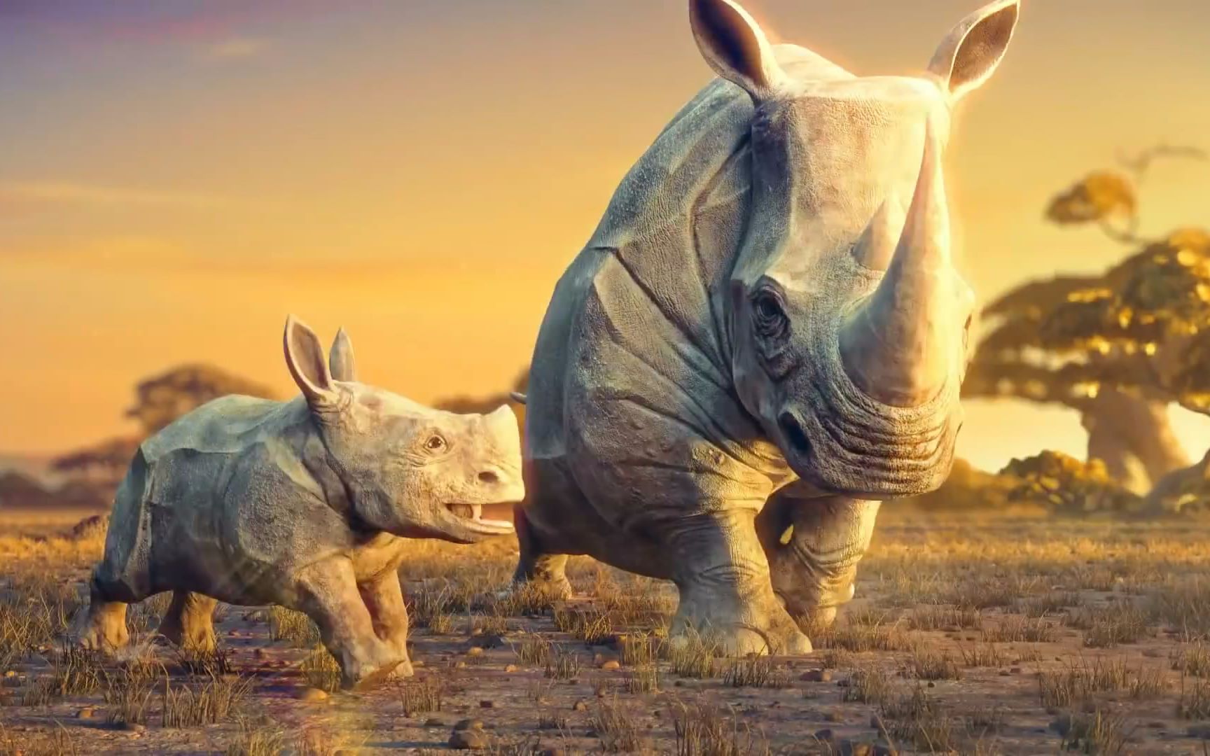 【野生动物保护短片】Dream没有买卖,就没有杀害