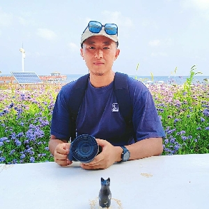 Reo青蛙入水日本池塘 