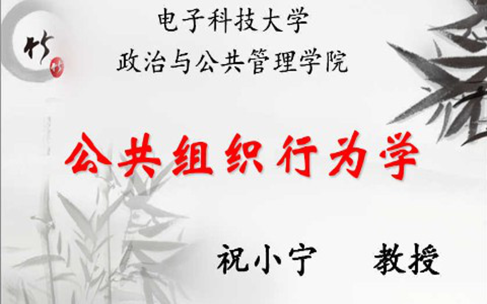 公共组织行为学-电子科技大学(国家精品课)