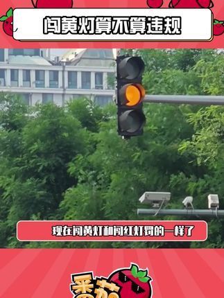几秒等于六百,大家可千万不要做黄灯赌徒啊#闯黄灯到底违不违规