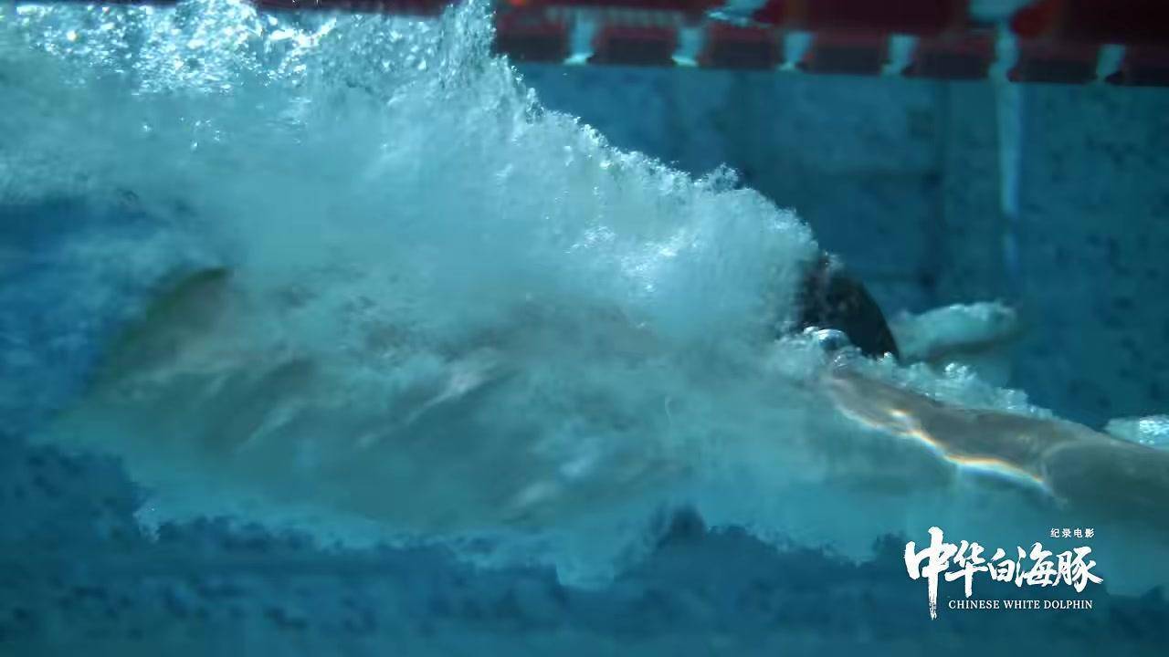 十五运会吉祥物原型故事即将上映!10月26日,全球首部以中华白海豚为...
