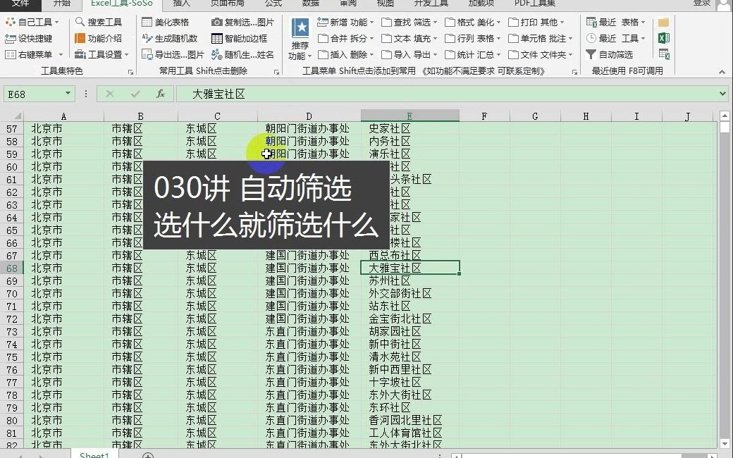 【Excel工具 SoSo】030讲 自动筛选
