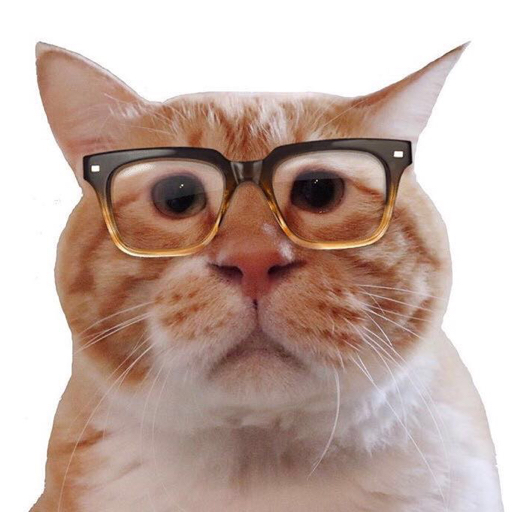 咸鱼上岸大翻身 