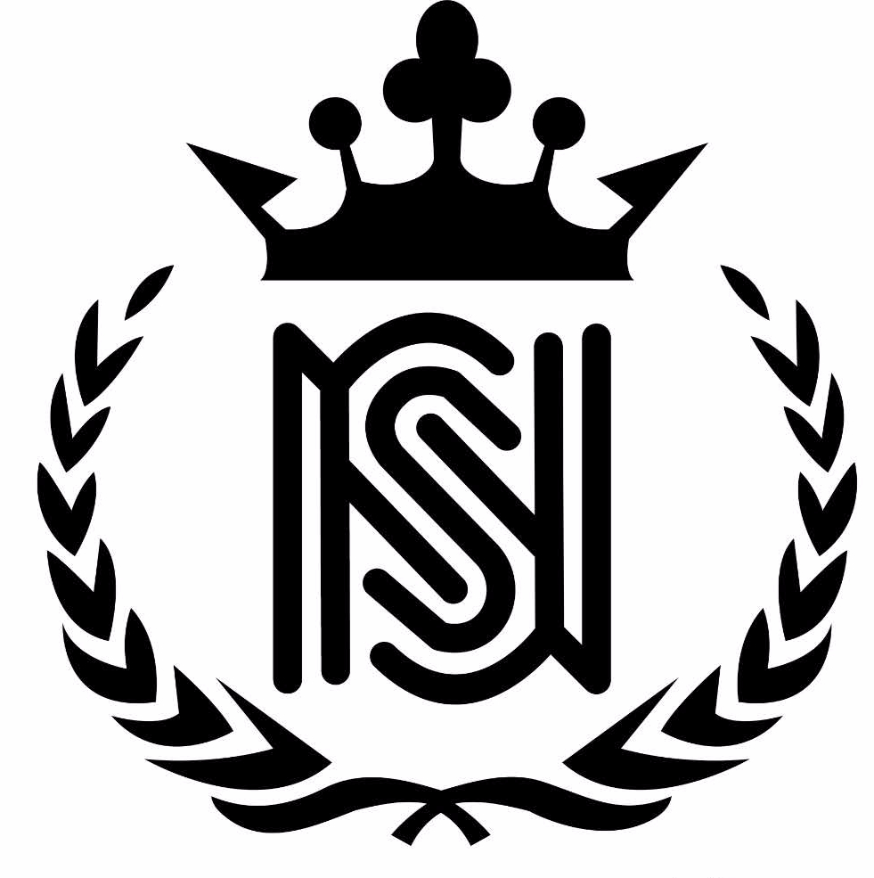 NS造星梦工厂 