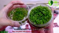 海藻面膜使用方法与技巧教程