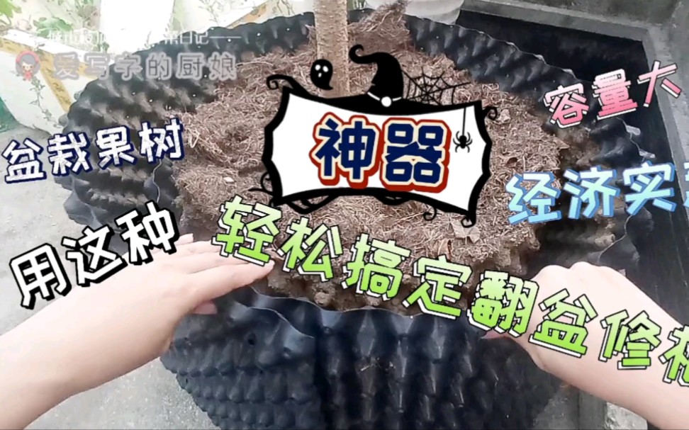 盆栽果树别再用花盆,这种神器又大又省还不用换盆,轻松换土修根