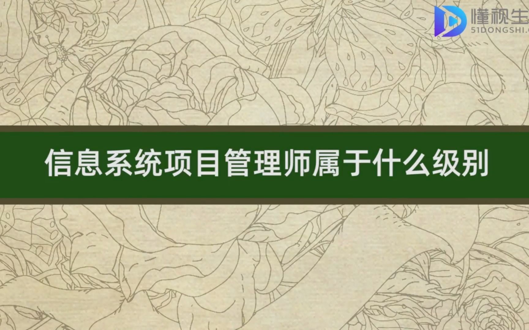 信息系统项目管理师属于什么级别